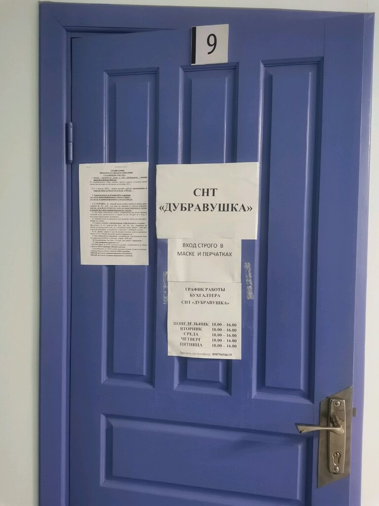 Bahçecilik dernekleri ve kuruluşları Дубравушка, Naberejniye Çelny (Yar Çallı), foto