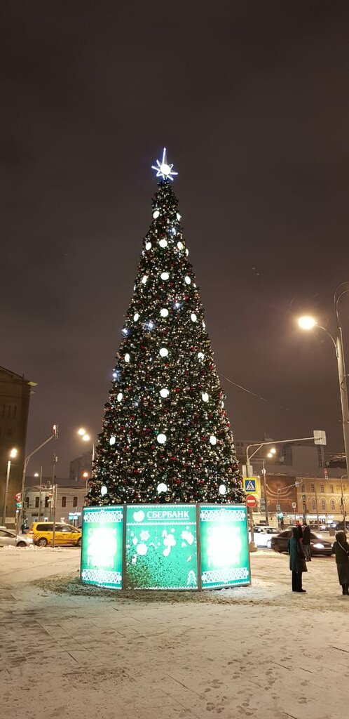 Yapay çam ağaçları ve süsleri Elkin Dom, Krasnodar, foto