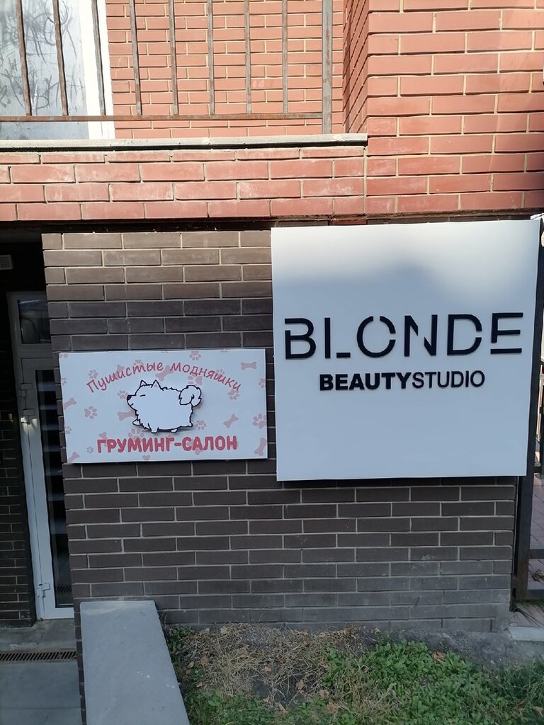 Evcil hayvan kuaförleri Modnyashki. Groom, Stavropol, foto