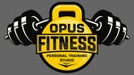 Opus Fitness & Pt Studio (Aydın, Didim, Yeni Mah., 840 Sok., 4), spor ve jimnastik salonları  Didim'den
