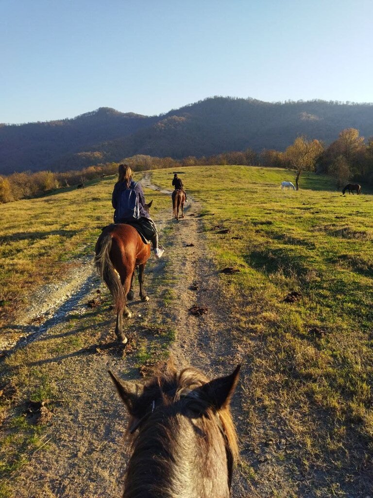 At ve binicilik kulüpleri Horse riding in Khost, Soçi, foto
