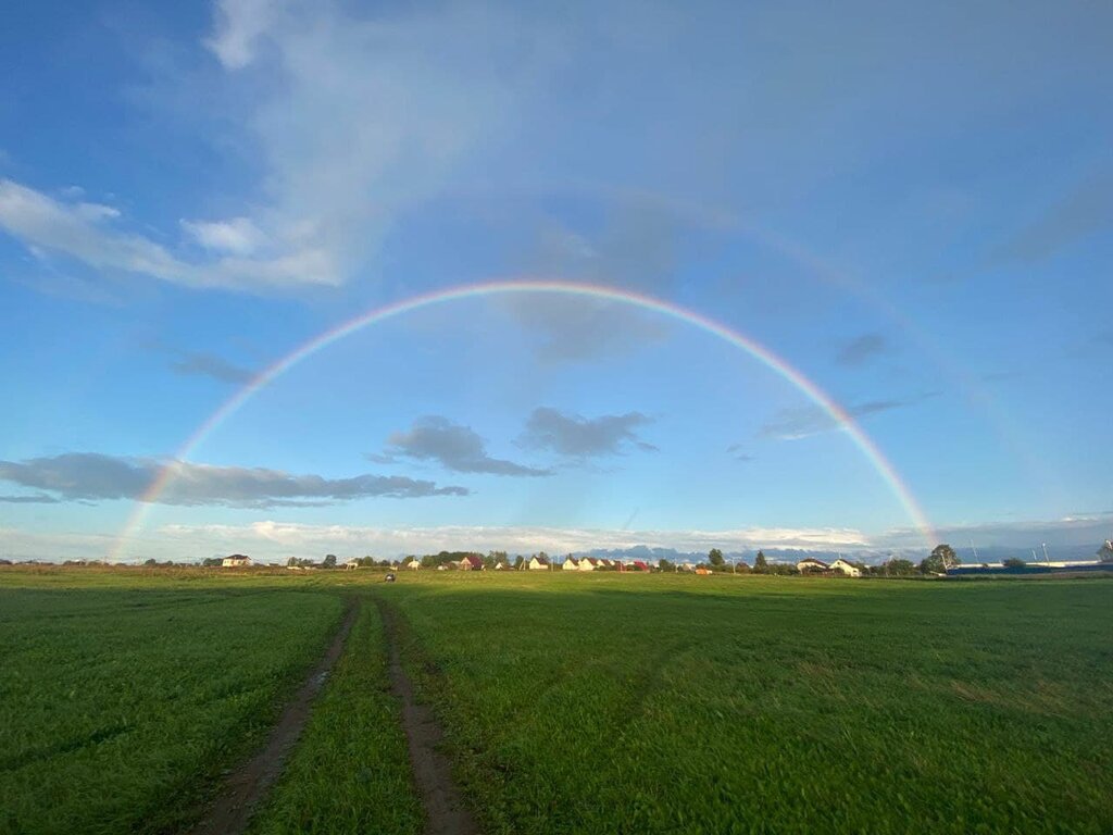 Tarım firmaları Rutelitsa, Saint‑Petersburg ve Leningradskaya oblastı, foto