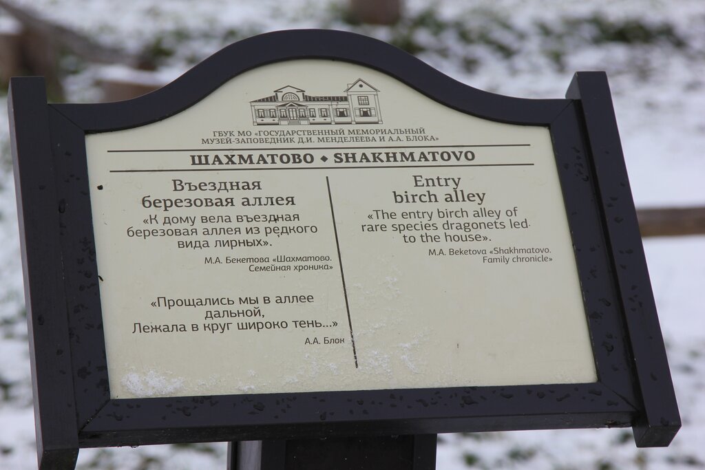 Doğa Въездная Берёзовая аллея, Moskova ve Moskovskaya oblastı, foto