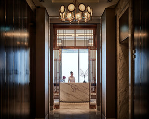 Waldorf Astoria SPA (Waldorf Astoria Dubai International Financial Centre, Gate Avenue, Dubai International Financial Centre), spa  Dubai'den