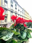 Hotel Des Artistes (Via Duomo No:61, Naples), otel  Napoli'den