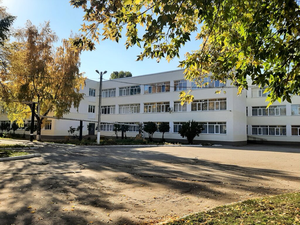 Sanat okulları Detskaya shkola iskusstv, Saratovskaya oblastı, foto