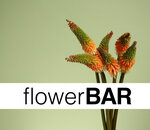 Flower bar (Abaya Street No:93), çiçek teslimatı  Petropavl'dan (Petropavlovsk'tan)