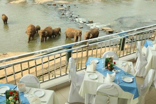 Otel Hotel Pinnalanda, , foto