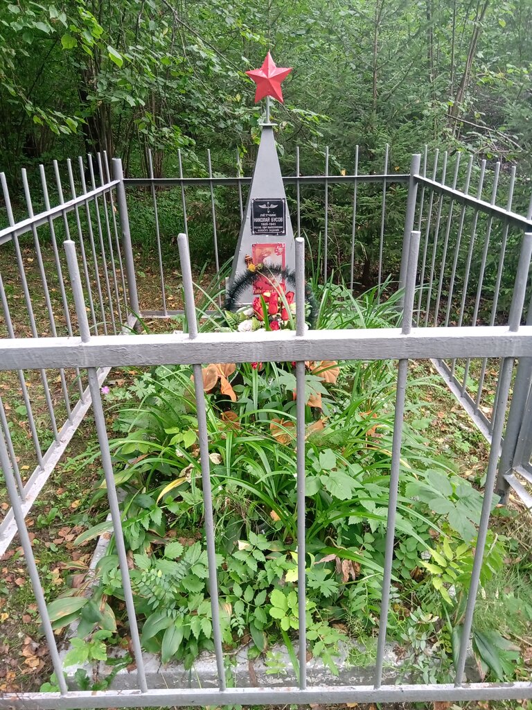 Anıt, heykel Могила летчика Бусова Н.Ф., Moskova, foto