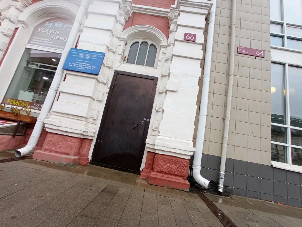 Kitap mağazaları Akademkniga, Krasnoyarsk, foto