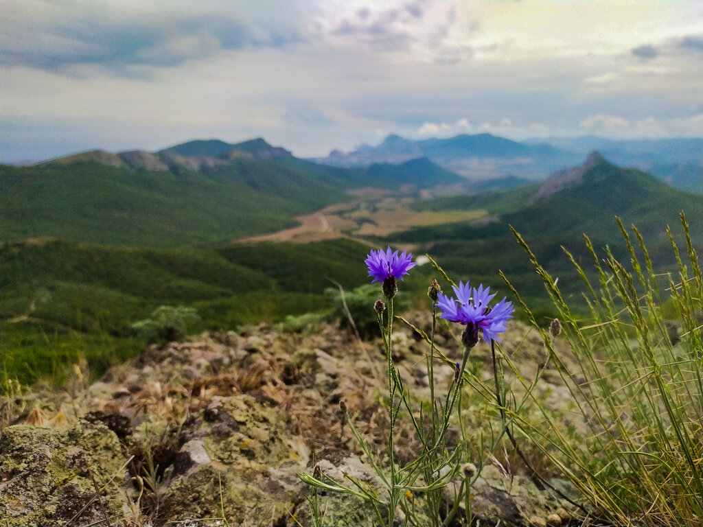 Dağ zirvesi Гора Урбаш 654 метра, Kırım Cumhuriyeti, foto