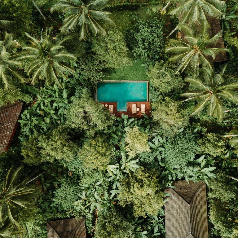 Otel Clove Tree Hill, Bali, foto