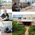 Ветеринарная клиника № 1 (ulitsa Ivashchenko No:10Б), veteriner klinikleri  Zgeleznogorsk‑Ilimskiy'den