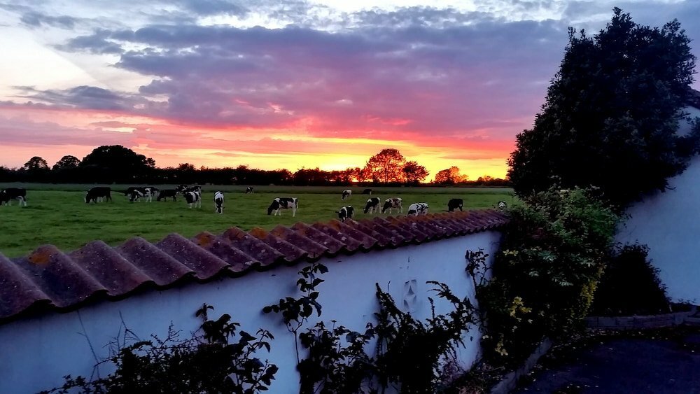 Otel Milton's Country Lodge, İngiltere, foto