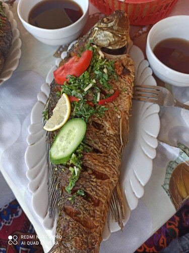 Kafe Cafe Yallama, Taşkent eyaleti, foto