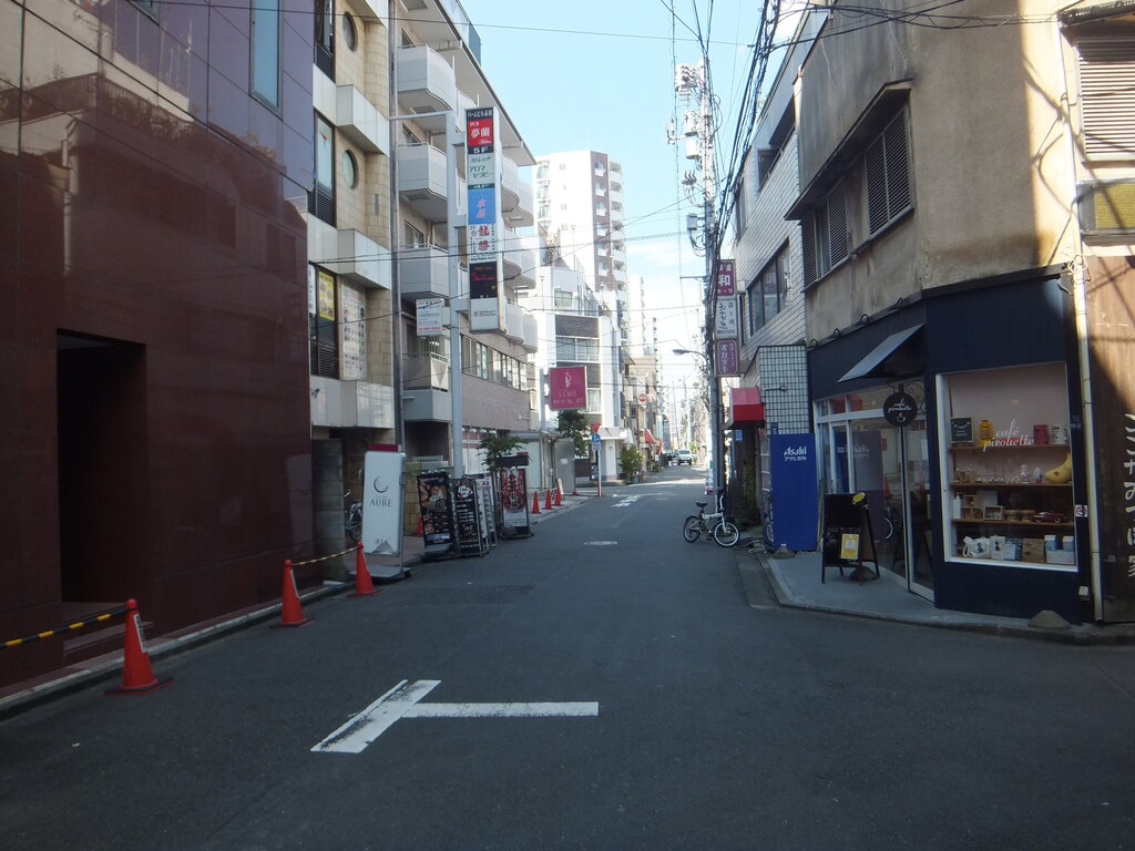 Arazi dizisi トウリハウジング, Tokyo, foto