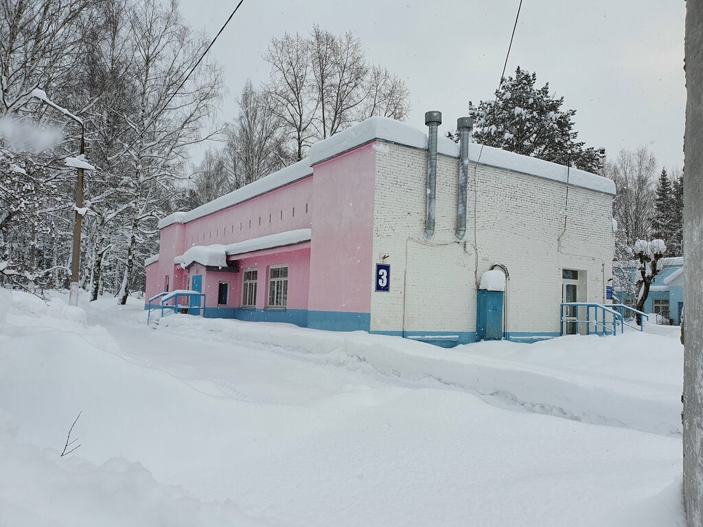 Tatil altyapısı Загородный оздоровительный центр Чайка, корпус № 3, Permski krayı, foto