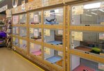 ペットプラザ江東深川店 (Tokyo Metropolis, Special Ward Koto), evcil hayvan kuaförleri  Tokyo'dan