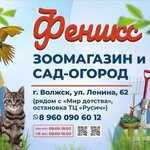 Феникс (ulitsa Lenina No:62), petshop  Volzhsk'tan