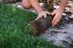Il Faggio Giardini (Emilia-Romagna, Modena, Via Emilia Est, 790), bahçe ekipmanları ve teknolojileri  Modena'dan