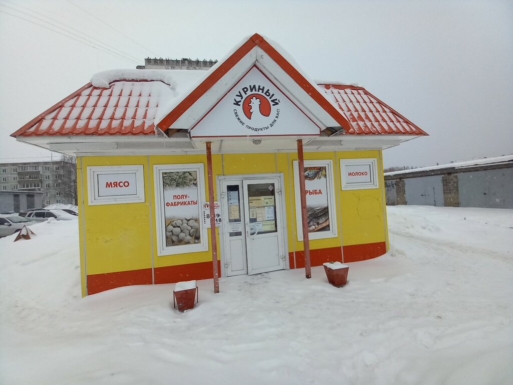 Kanatlı hayvan ürünleri ve yumurta Куриный, Kirov, foto