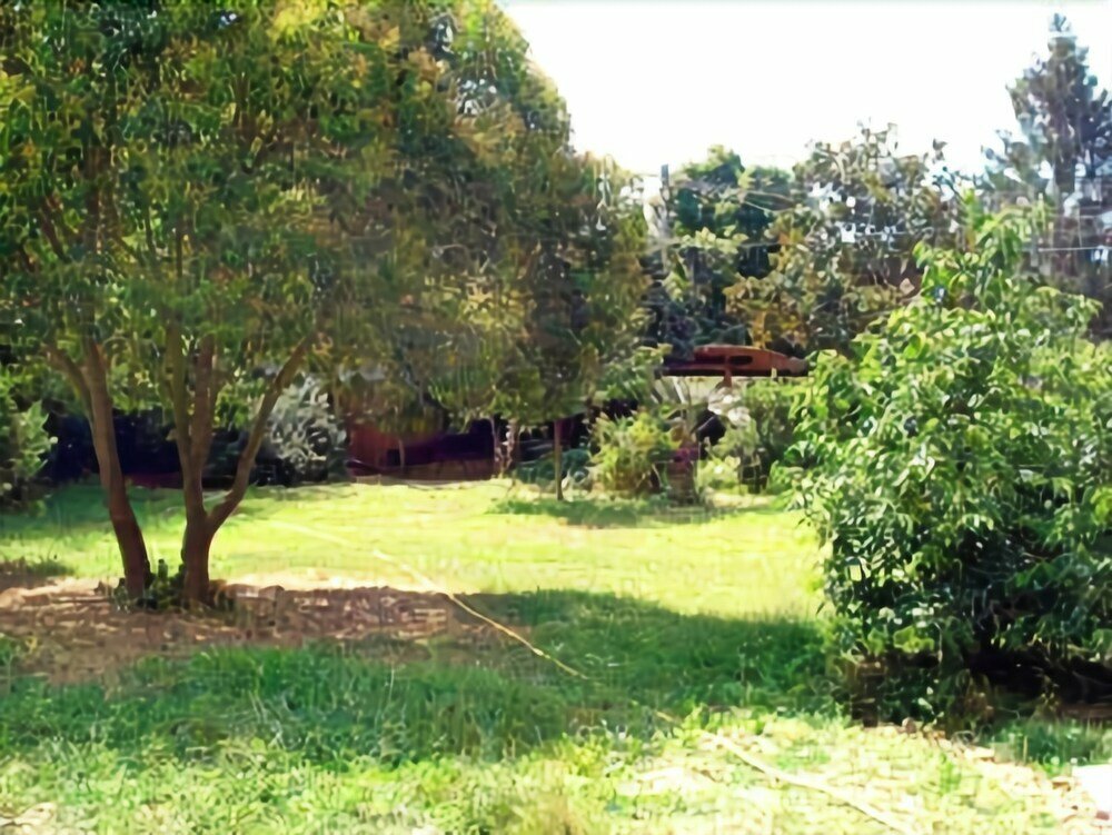 Otel Agriturismo Un Angelo alla mia tavola, Ligurya, foto