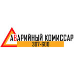 Avarijnyj komissar (Nadezhdy Plevitskoy Avenue No:35), otomobil ekspertizi  Kursk'tan