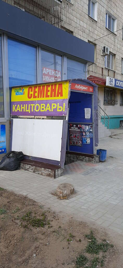 Tohum satan yerler Vasha usadba, Volgograd, foto
