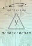 Avtoshkola Professional (Litovskaya Street No:1), sürücü kursları  Saint‑Petersburg'dan