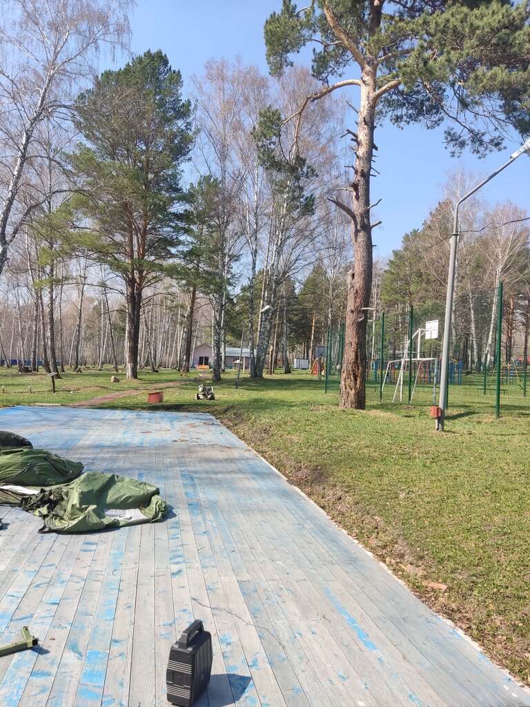 Sağlık merkezleri Загородный оздоровительный центр Смена, Novosibirskaya oblastı, foto
