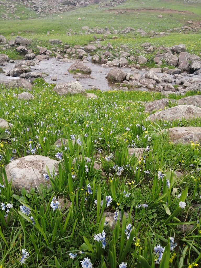 Şelale Kasakh waterfall, Aragatsotn, foto