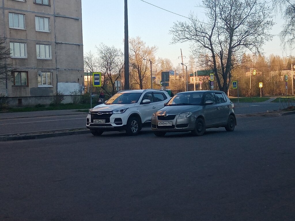 Uzman hizmetleri Ryzhiy Kot, Tixvin, foto