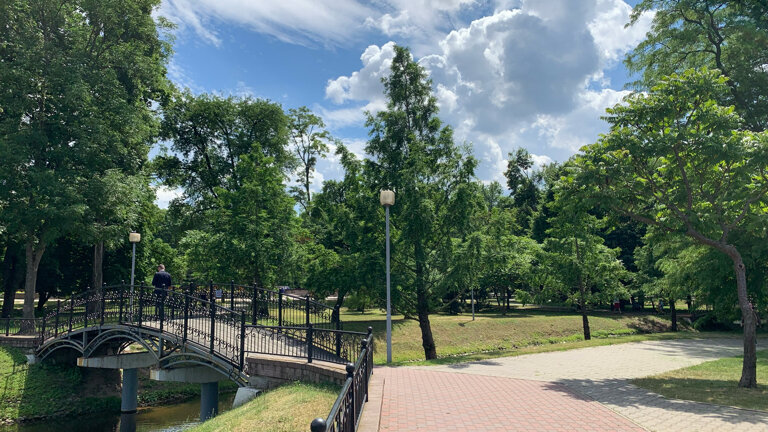 Doğa Alley of metasequoia, Brest, foto
