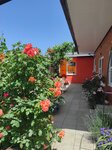 Гостевой дом (Krasnaya Street No:207, stanitsa Golubitskaya), otel  Krasnodarski krayından