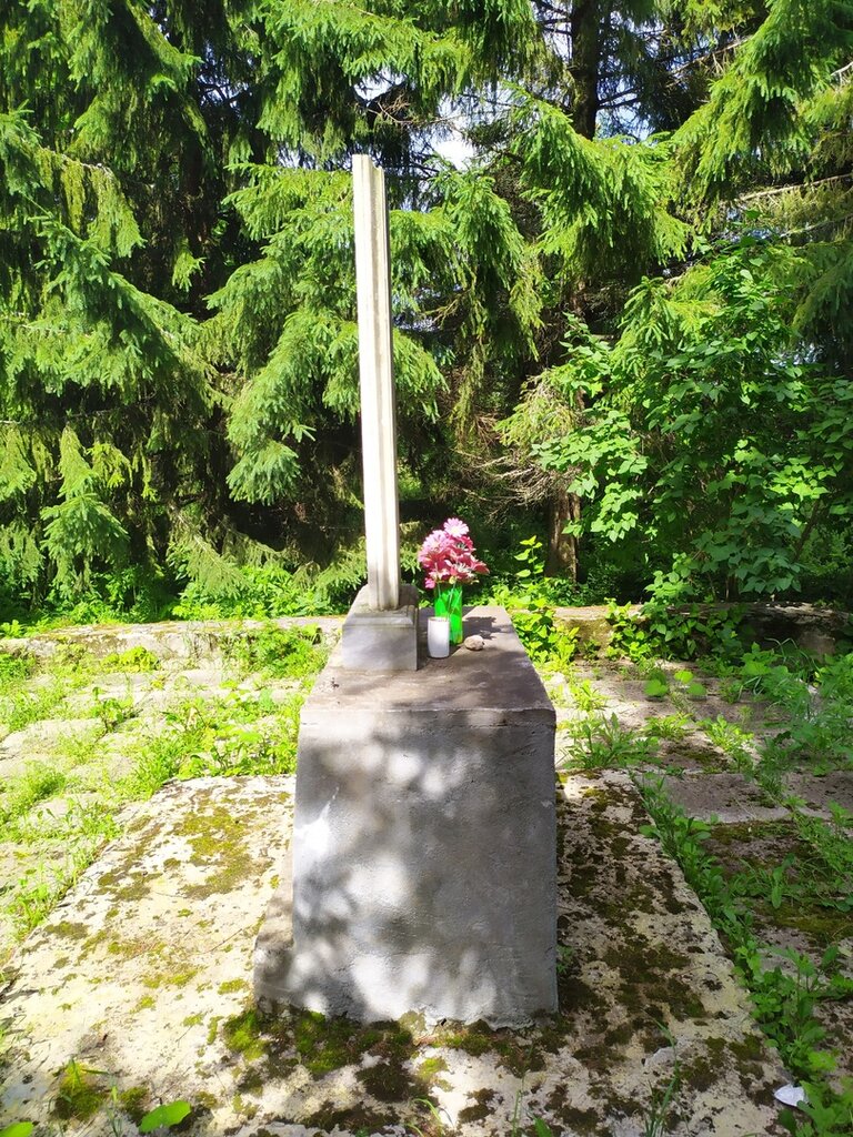 Anıt, heykel Обелиск, Vologodskaya oblastı, foto