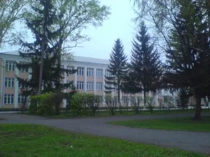 Ortaokul МКОУ Черемисиновская СОШ имени Героя Советского Союза И. Ф. Алтухова, Kurskaya oblastı, foto