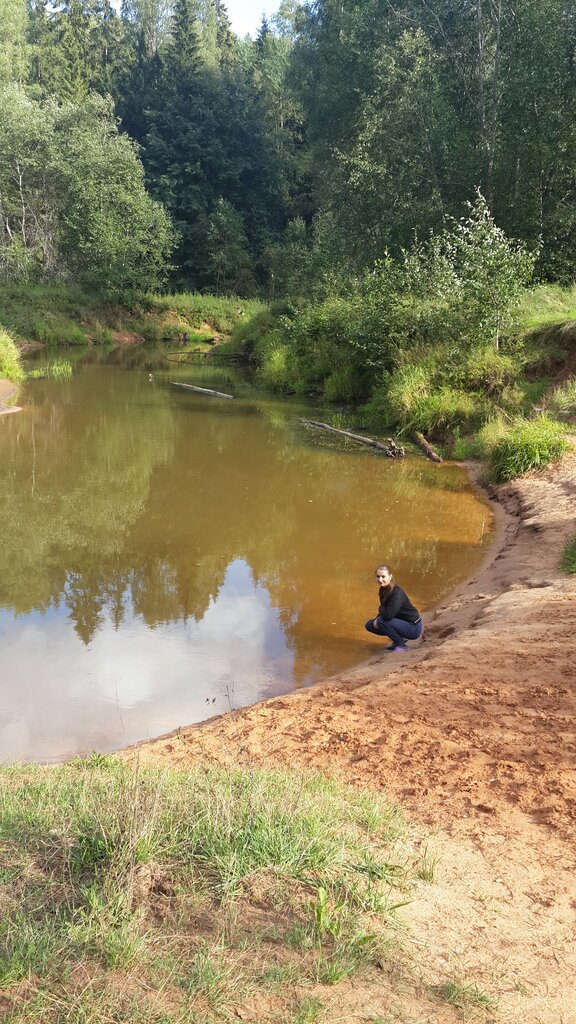 Plaj Пляж, Saint‑Petersburg ve Leningradskaya oblastı, foto