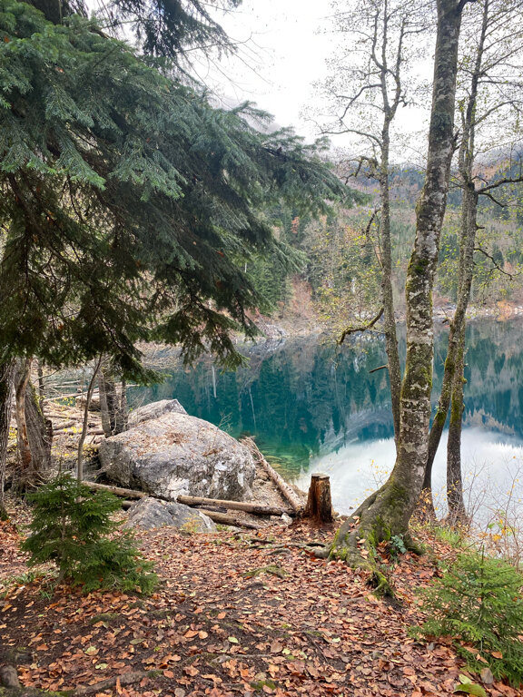 Dağ zirvesi Гора Пшегишхва, Gudauta Bölgesi, foto