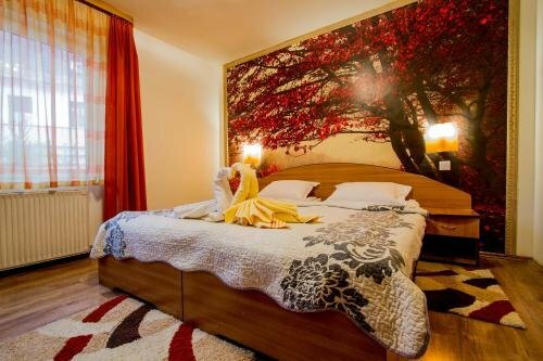Otel Pension Casa Timar, Brashov, foto