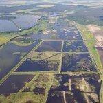 ОАО рыбхоз Волма (Tsentralnaya ulitsa No:1А, vioska Aziorny), balık çiftçiliği ve toptancıları  Minskaya oblastından