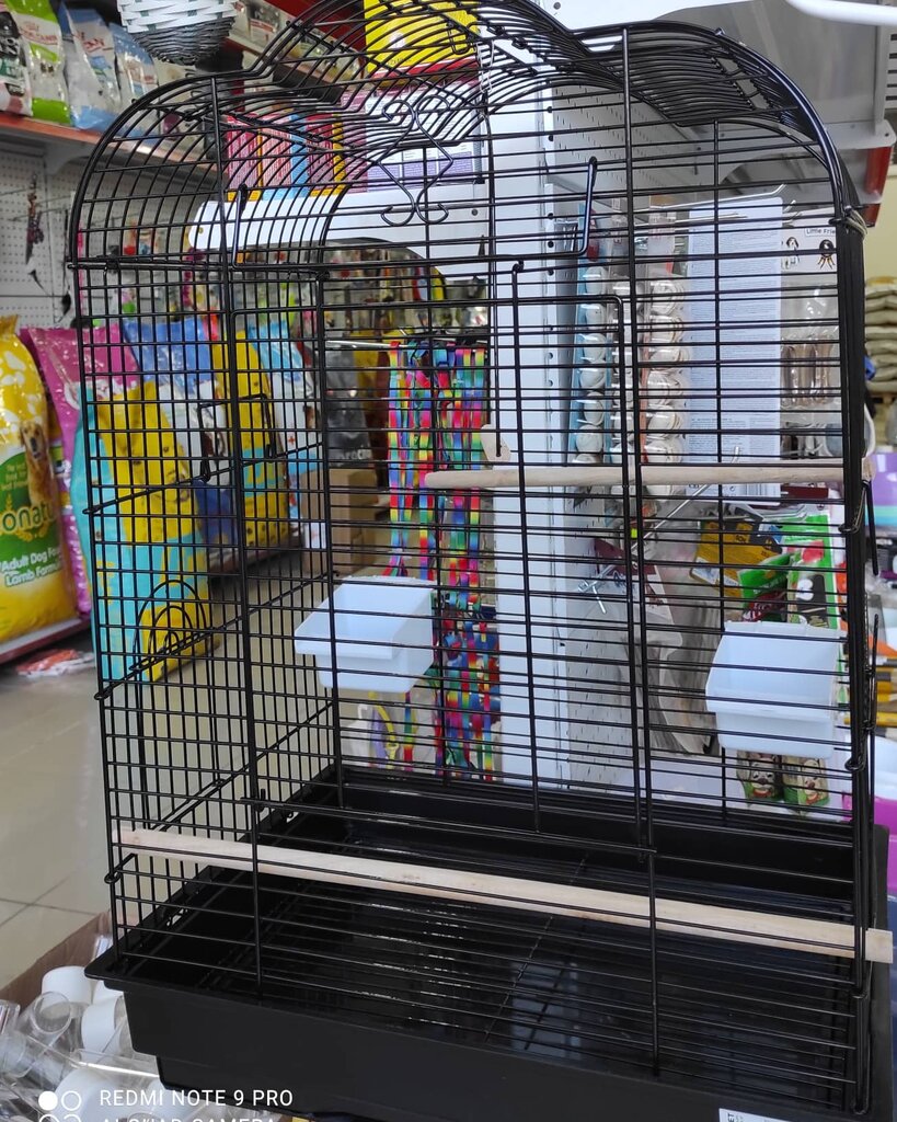 Petshop Fatibo Petshop, Kartepe, foto