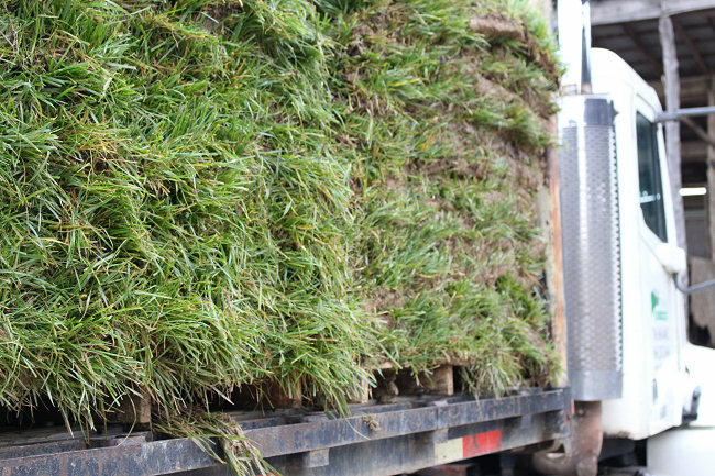 Bahçe ekipmanları ve teknolojileri Sims Sod Farm, Georgia Eyaleti, foto