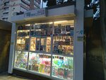 Пресса (Pirogova Street No:4В, Novyy Sochi Microdistrict), gazete bayi  Soçi'den