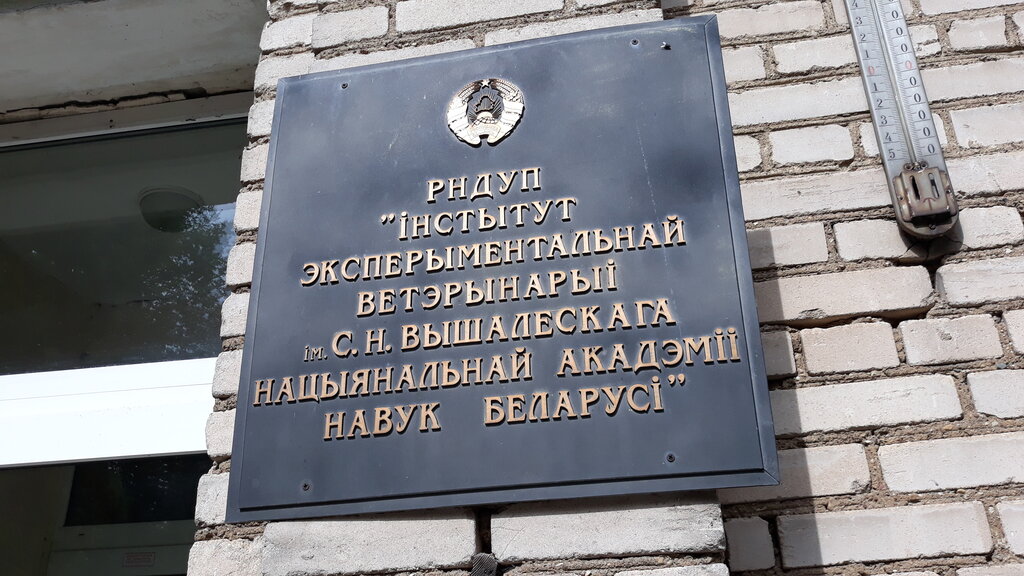 Bilim araştırma enstitüsü S. N. Vyshelessky Research Institute of Veterinary Medicine, Minsk, foto