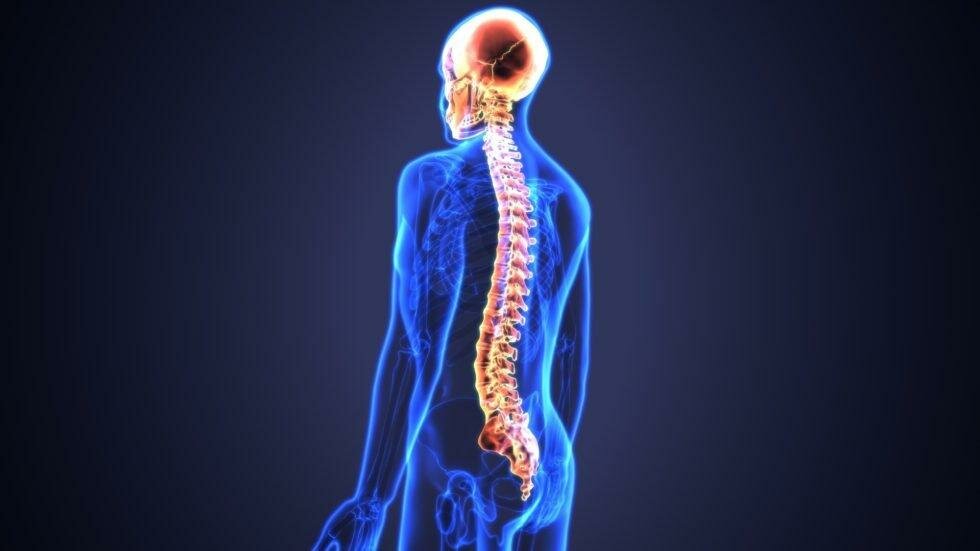 Diyet ve diyabetik ürünler Goshen Family Chiropractic, Pennsylvania, foto