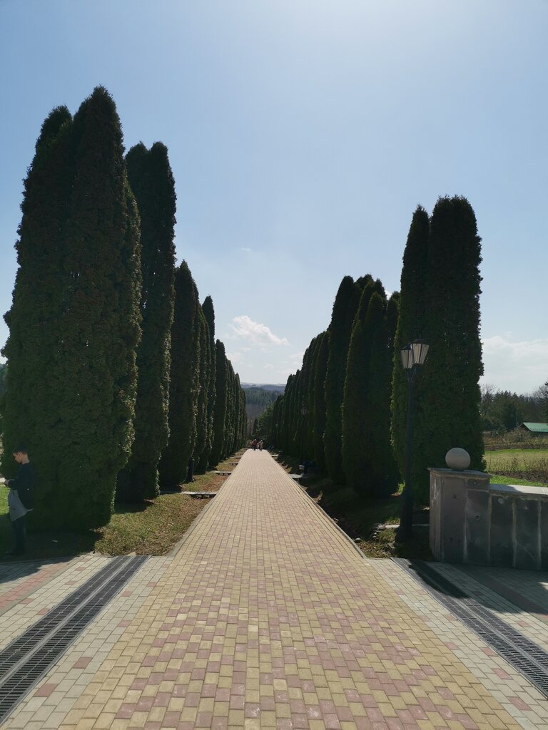 Doğa Макси роза, Kislovodsk, foto