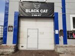 Black Cat (Pyatigorskaya Street No:13к2), oto yıkama  Samara'dan