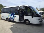 Musa Bus Ncc Taxi (Emilia-Romagna, Bologna, Via 2 Agosto 1980, 12), toplu taşıma yönetimi ve bakımı  Emilia‑Romagna'dan
