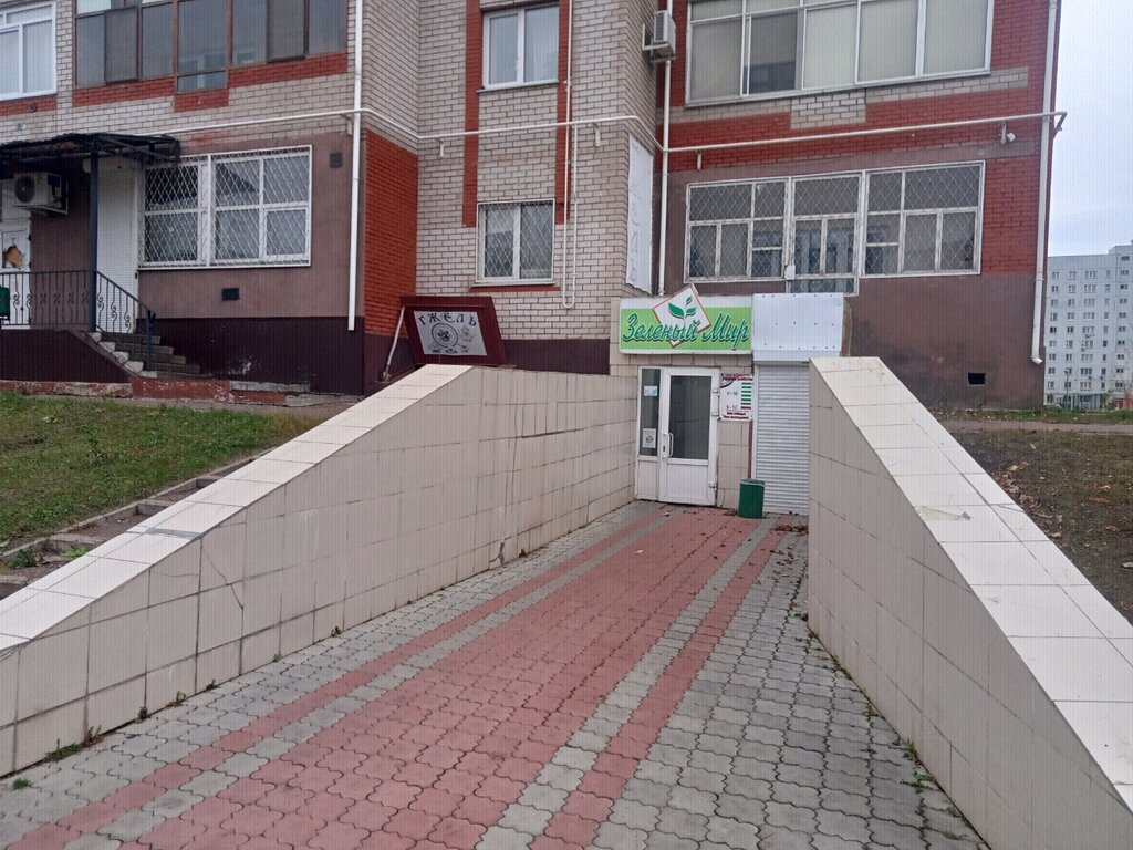 Tohum satan yerler Sadovy tsentr Zeleny mir, Naberejniye Çelny (Yar Çallı), foto