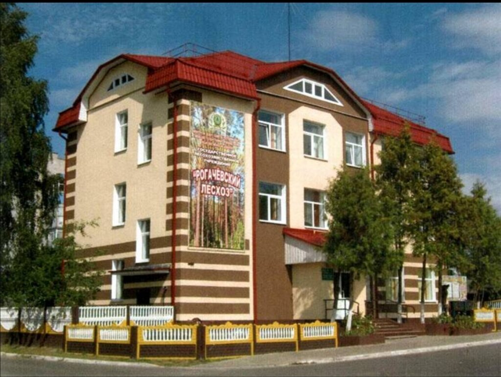 Orman işleri Rogachevsky leskhoz GLKhU, Rogachev, foto